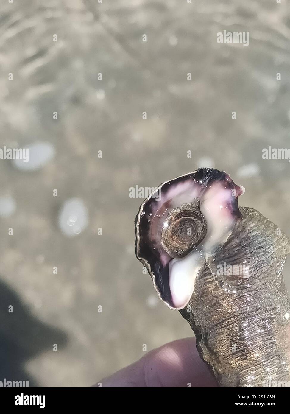 Club mud hi-res stock photography and images - Alamy