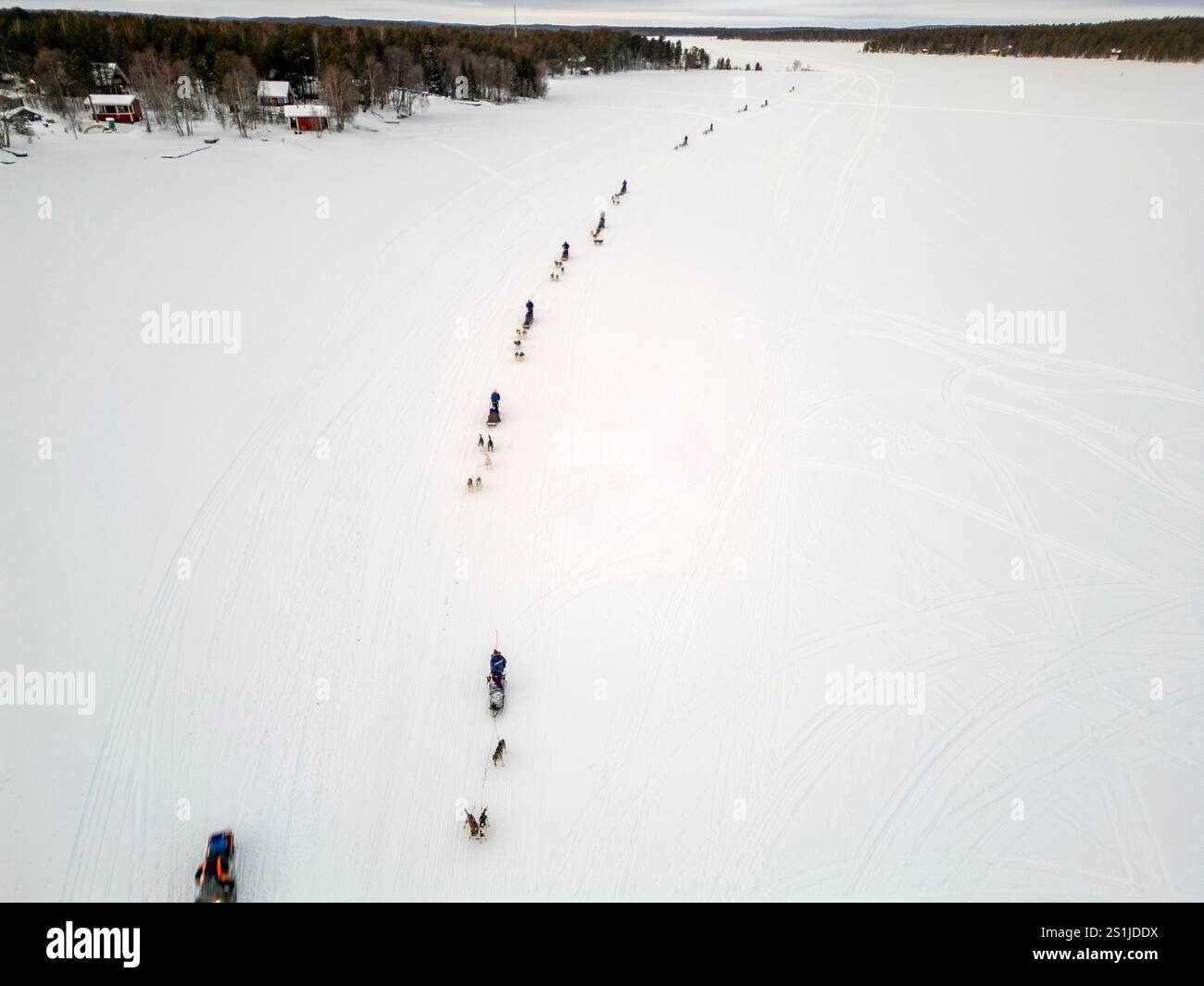 Sled dog ice lapland winter aerial Inari Nellim frozen lakes and forest ...