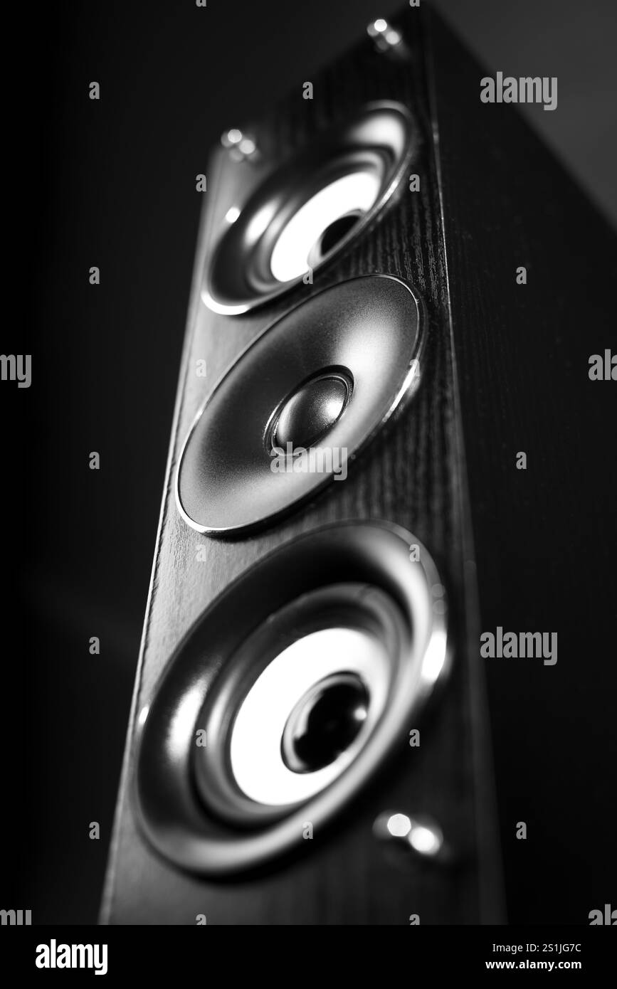 Stylish premium Black and White Stock Photos & Images - Alamy