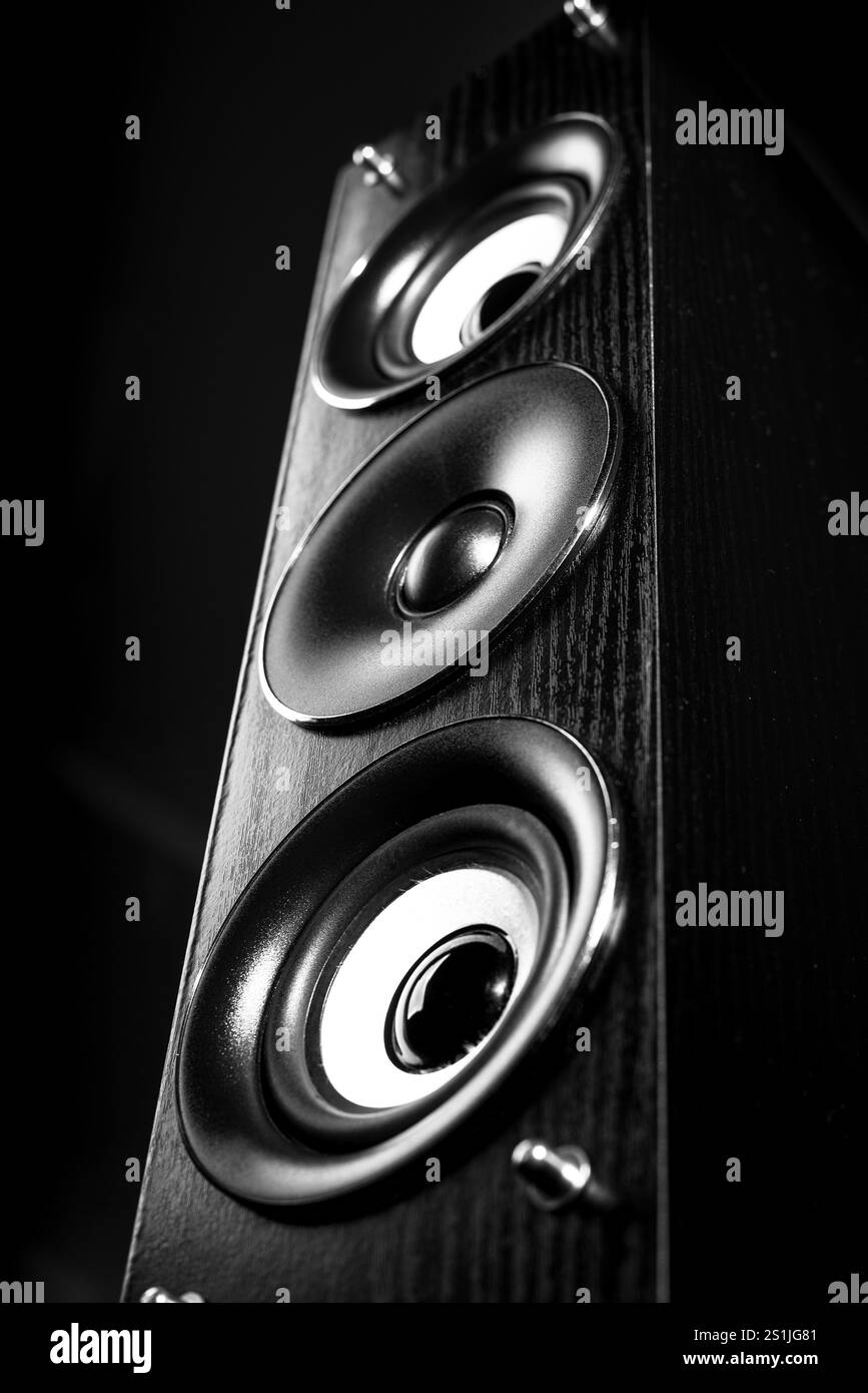 Stylish premium Black and White Stock Photos & Images - Alamy