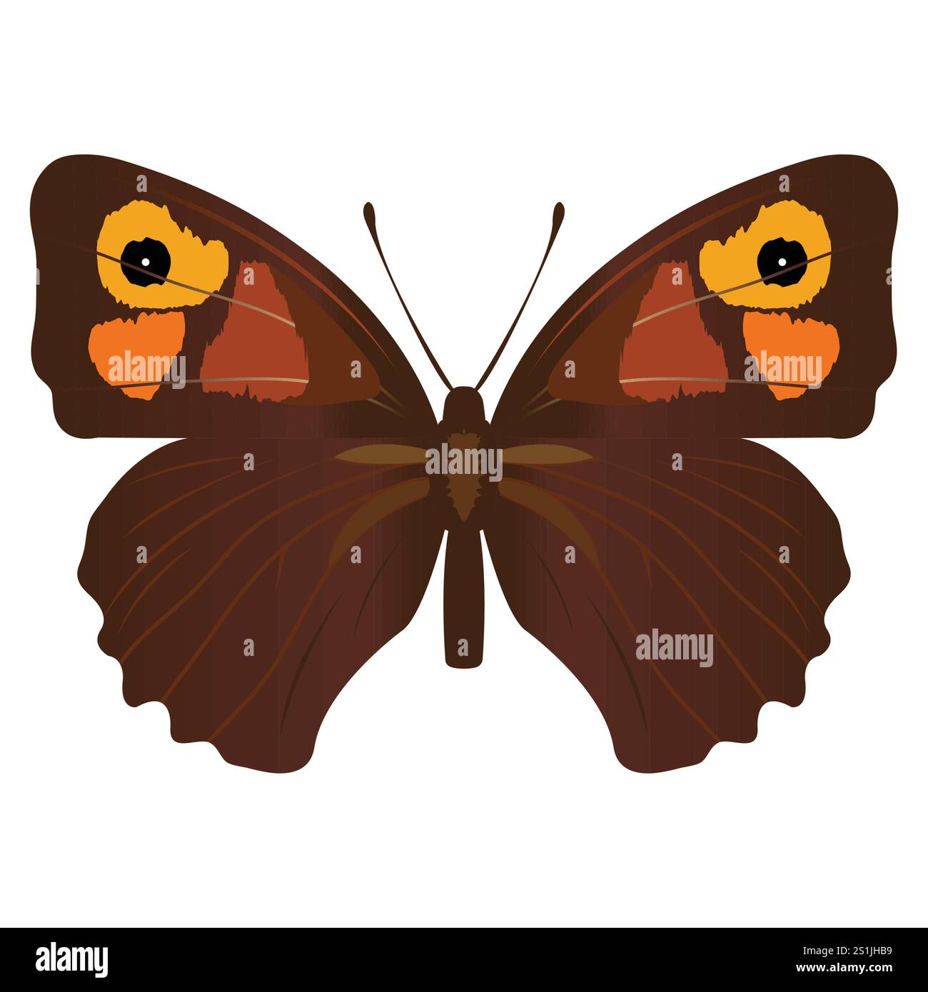 Artistic isolated brown butterfly ; isolated butterfly icon ready to ...