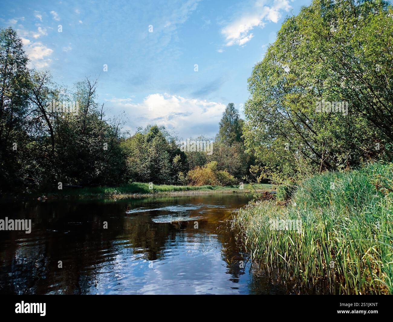 Exploring the Remote Beauty of the Upper Volga River in Russia Stock ...