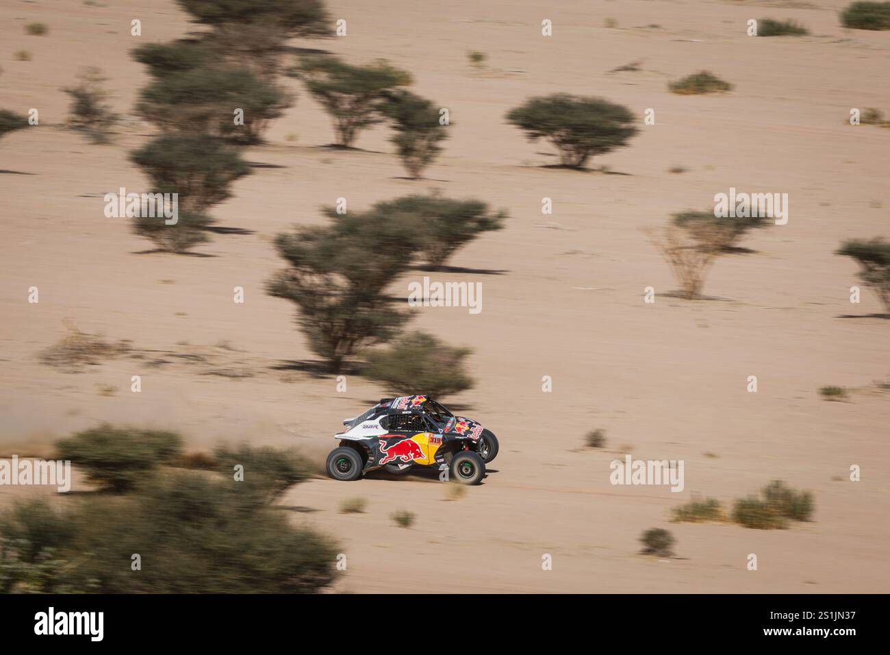 319 GUERREIRO Gonzalo (prt), SACHS Cadu (bra), Taurus, Red Bull Off ...