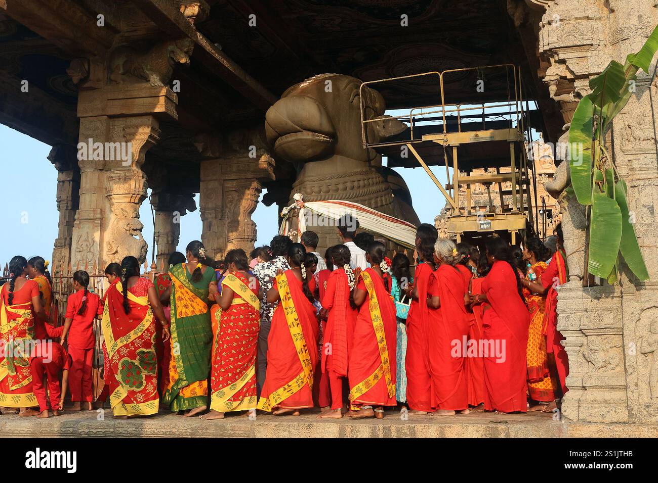 Pilgrims at the Nandi mandapam in the Brihadisvara Temple in Thanjavur ...