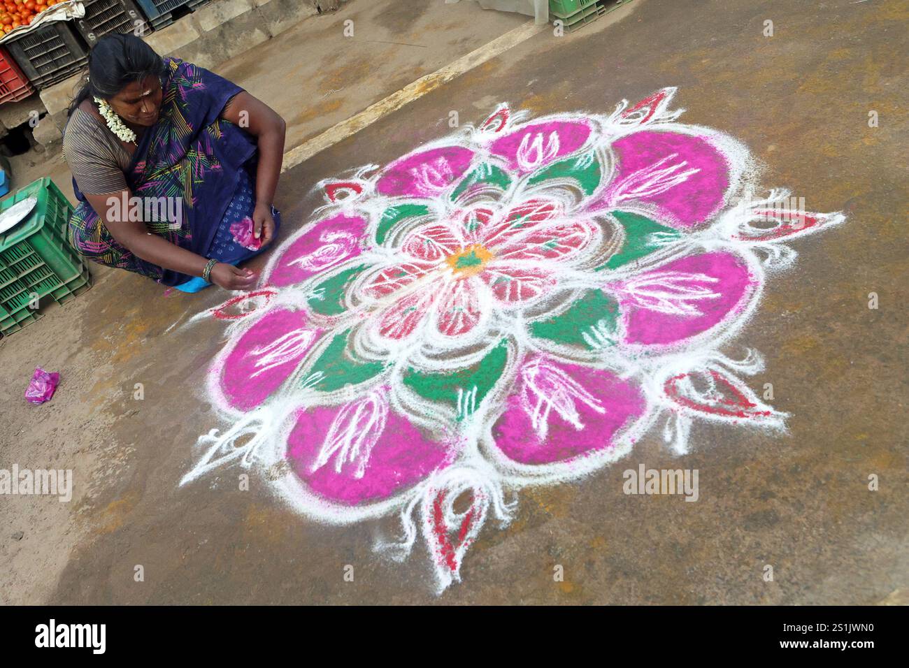 A woman creating a rangoli to celebrate Pongal in Thanjavur, Tamil Nadu ...