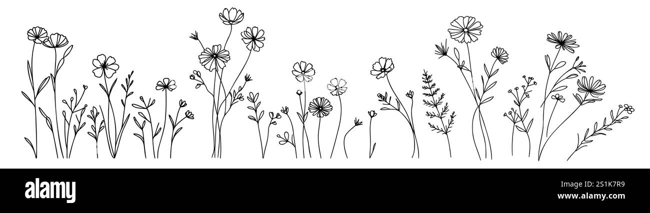 Botanical abstract line art composition, minimal floral border of hand ...