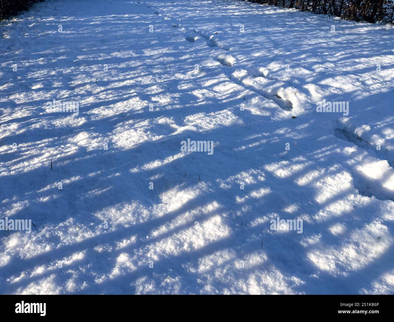 Frost snow on ground hi-res stock photography and images - Alamy
