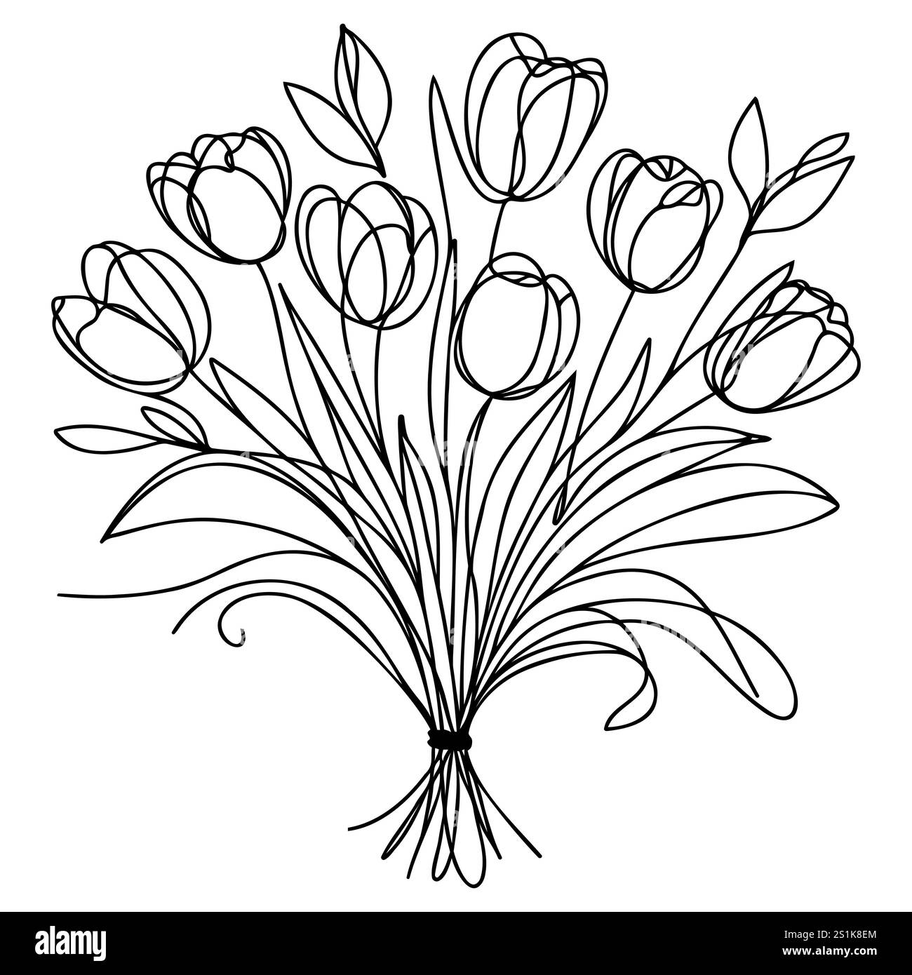 Bouquets Tulips flowers Line Drawing Stock Vector Image & Art - Alamy