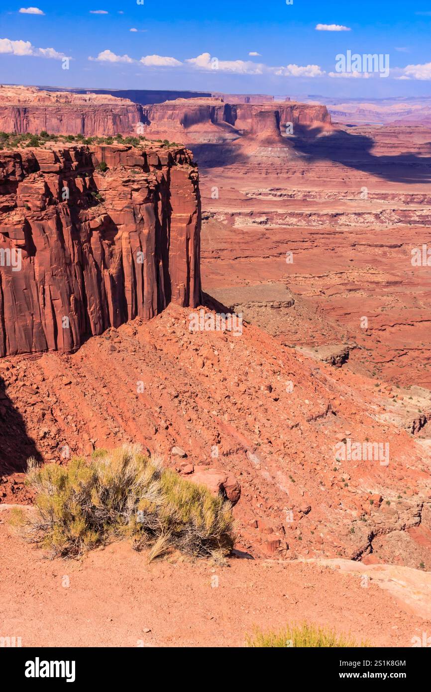 Vast plant hi-res stock photography and images - Alamy