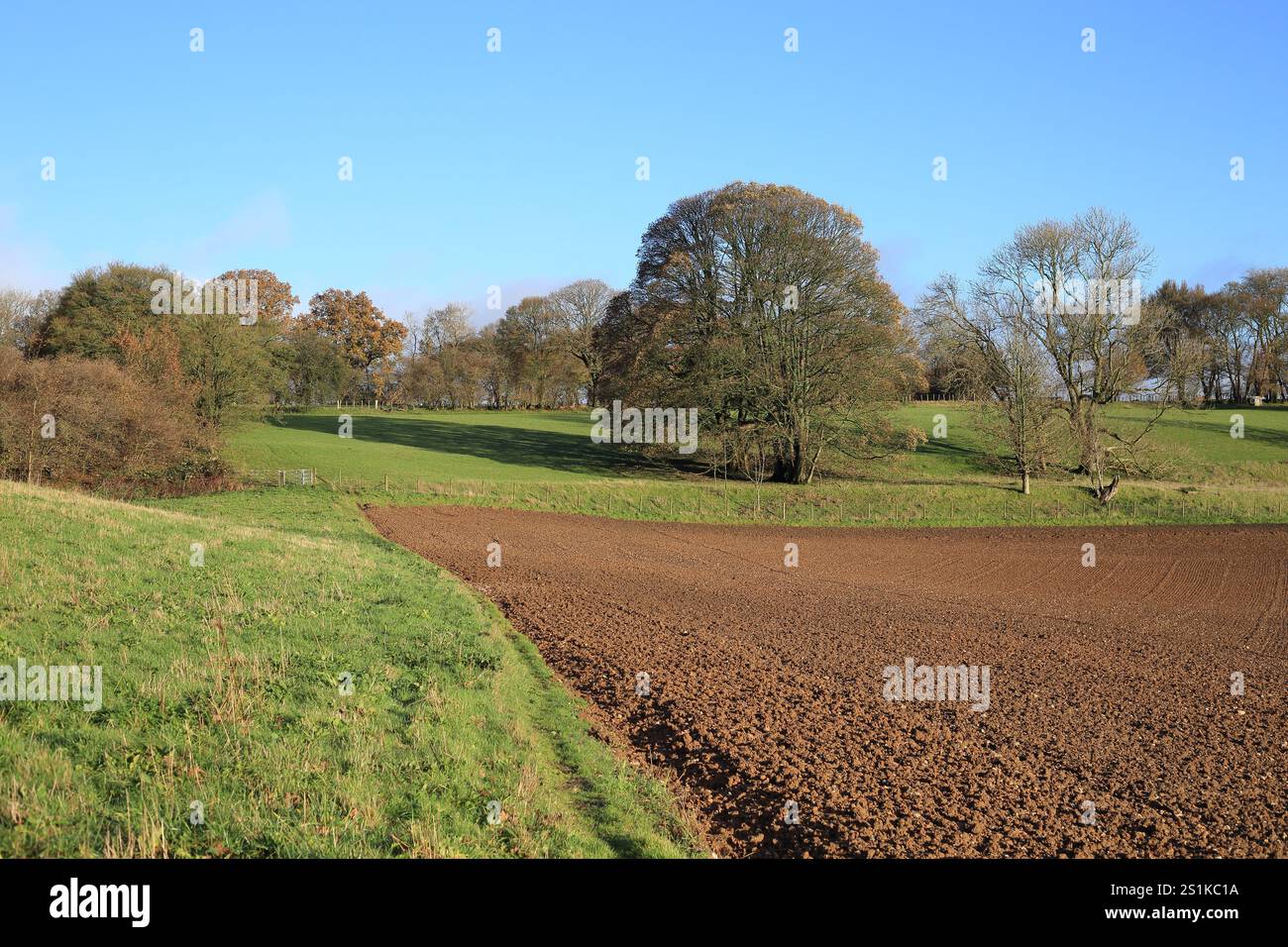 View across fields near Little Holt Farm on the Kent North Downs at ...
