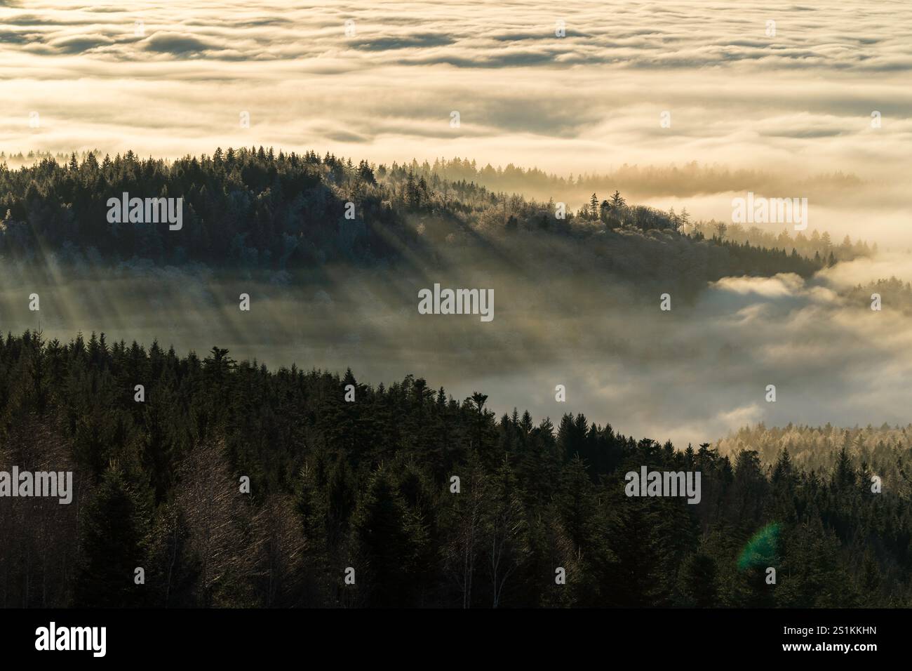 Inversion in the Black Forest Stock Photo - Alamy