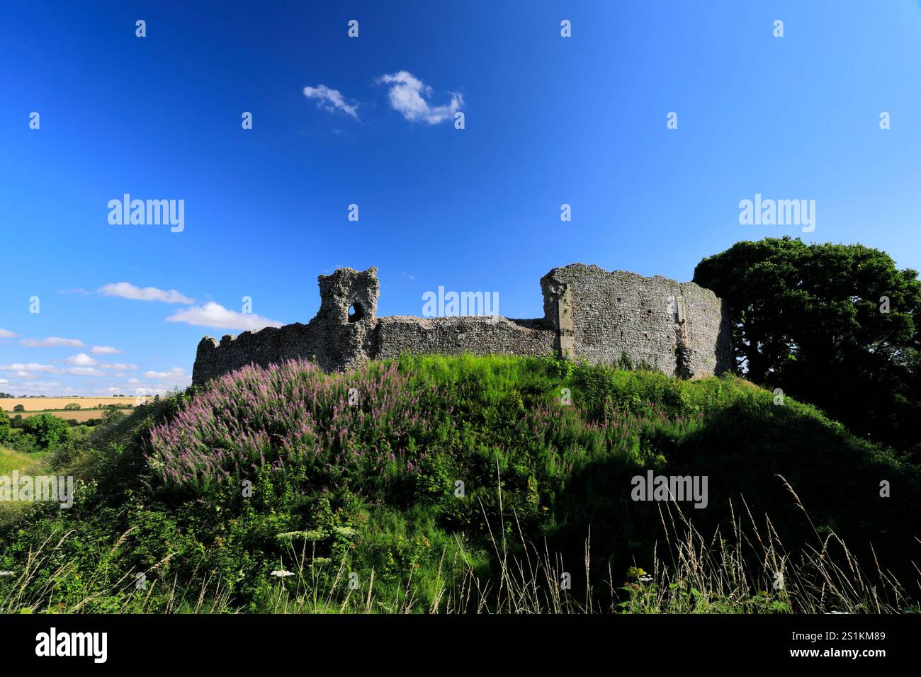 View of the ruins of Castle Acre Castle, Castle Acre village, North ...