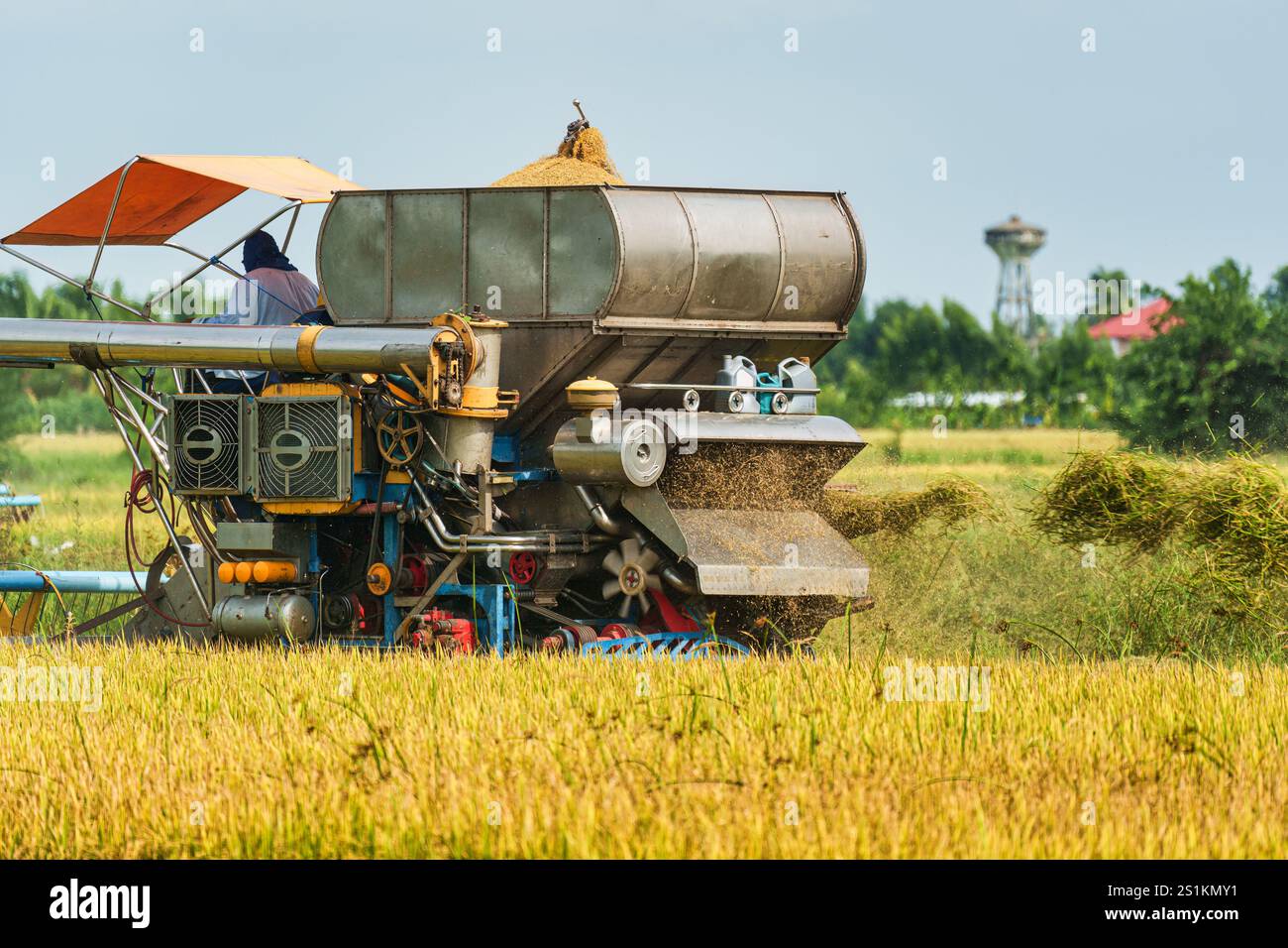 Combine rice harvester with worker harvesting in rice field during ...