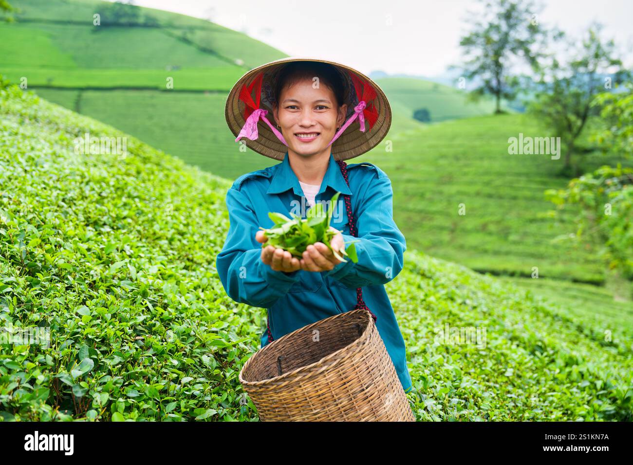 Happy female agriculturist wearing non la hat smiling with showing tea ...