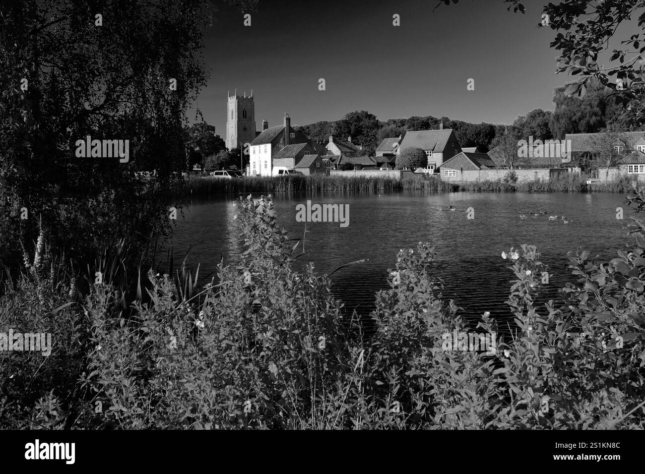 View over the duck pond at Great Massingham village, North Norfolk ...