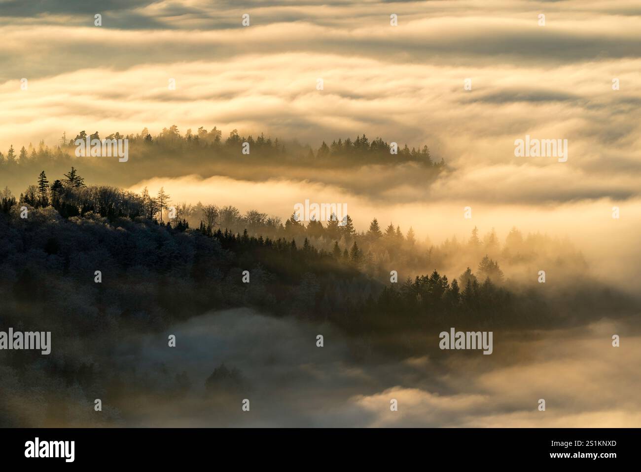 Winterly view hi-res stock photography and images - Alamy