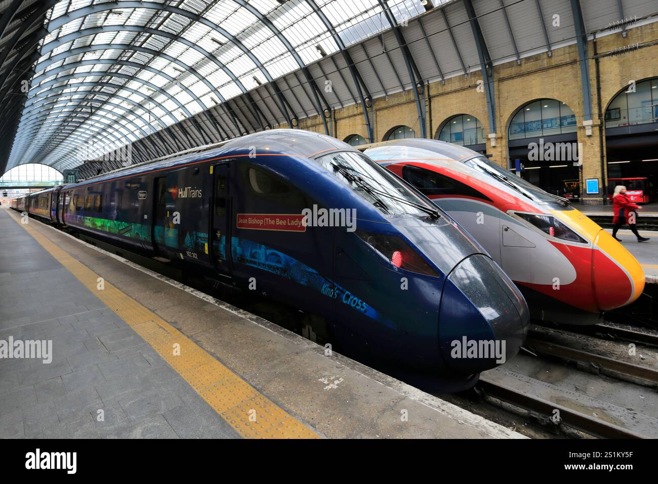 Hull Trains 802302 Paragon train, Jean Bishop ( The Bee Lady), East ...