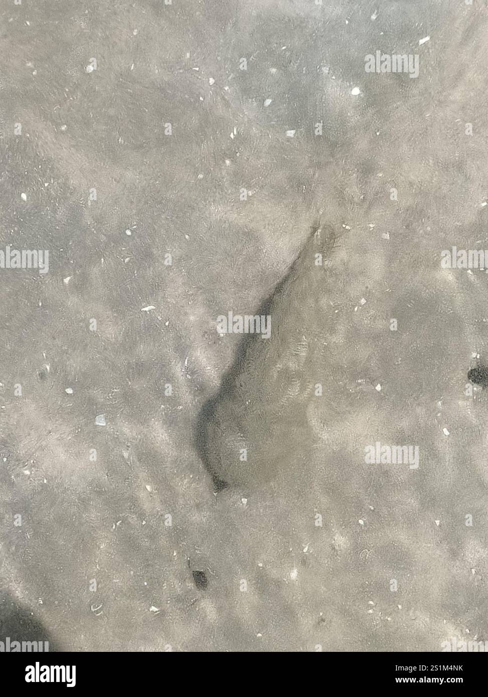 Club mud hi-res stock photography and images - Alamy