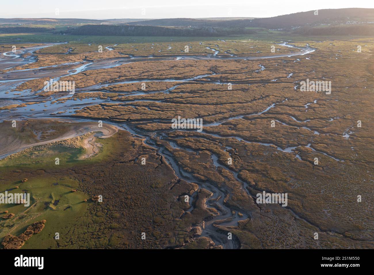 Aerial view of intertidal channels in saltmarsh at Burry Pill, Gower ...