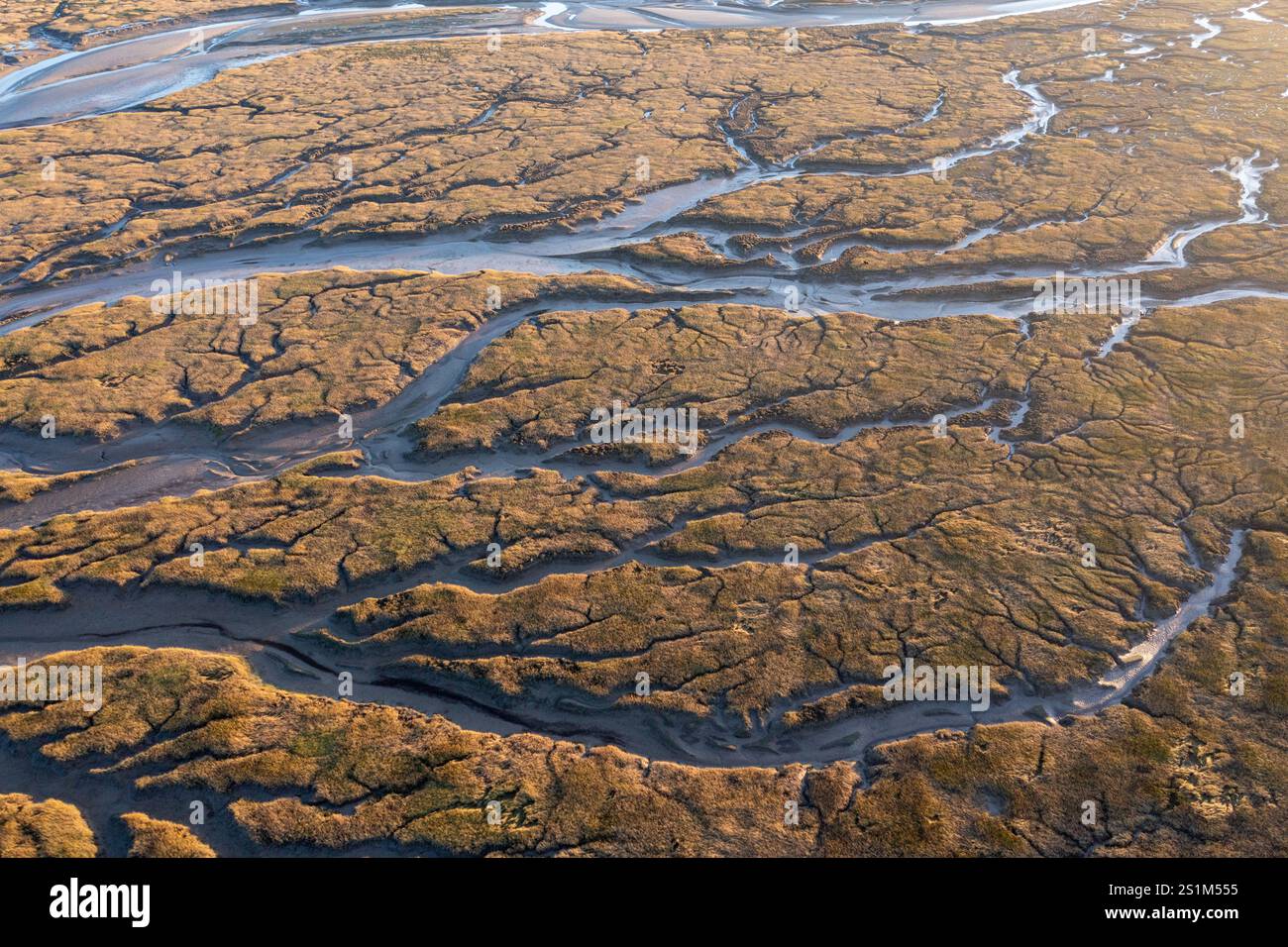 Aerial view of intertidal channels in saltmarsh at Burry Pill, Gower ...
