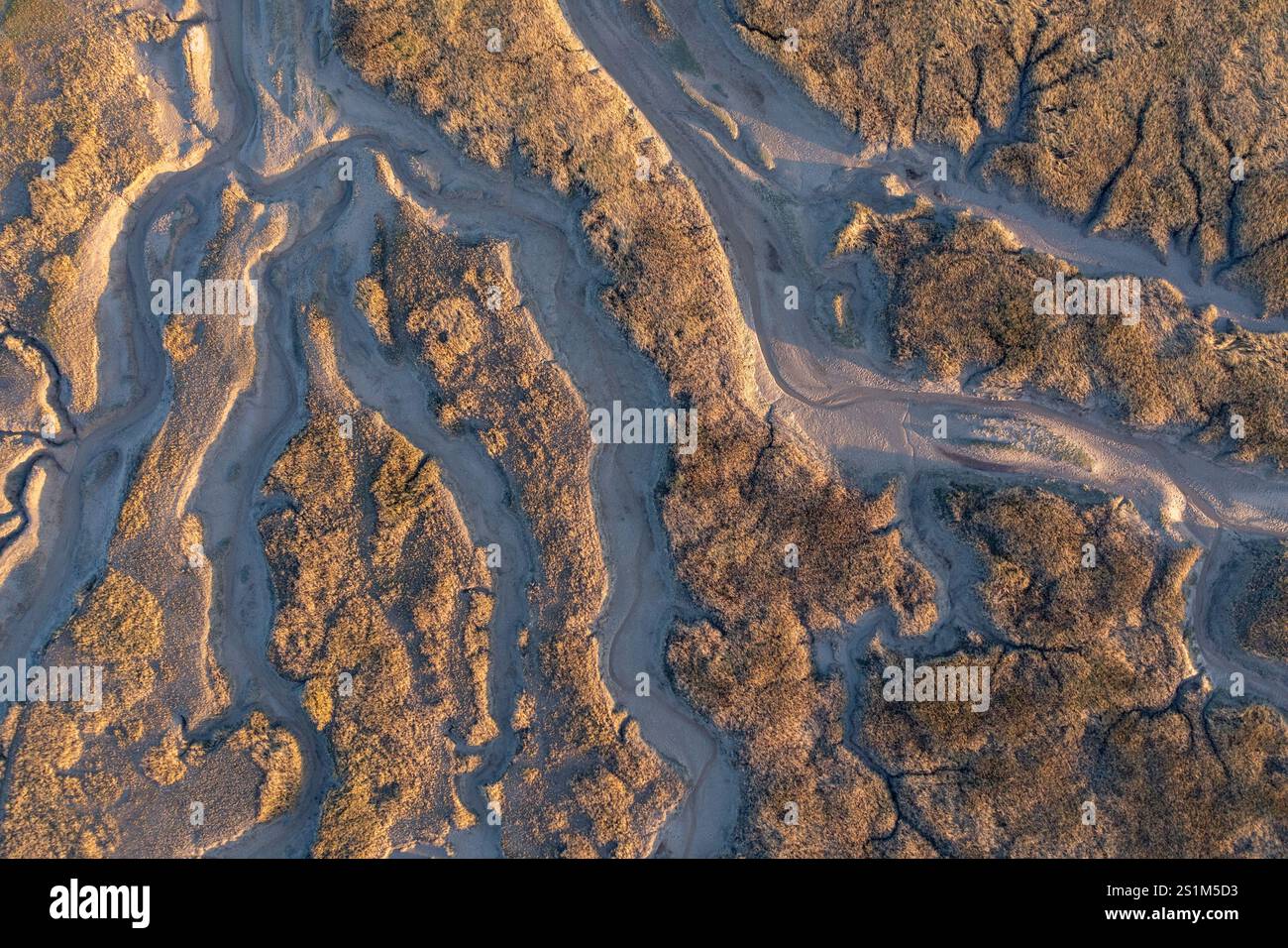 Aerial view of intertidal channels in saltmarsh at Burry Pill, Gower ...