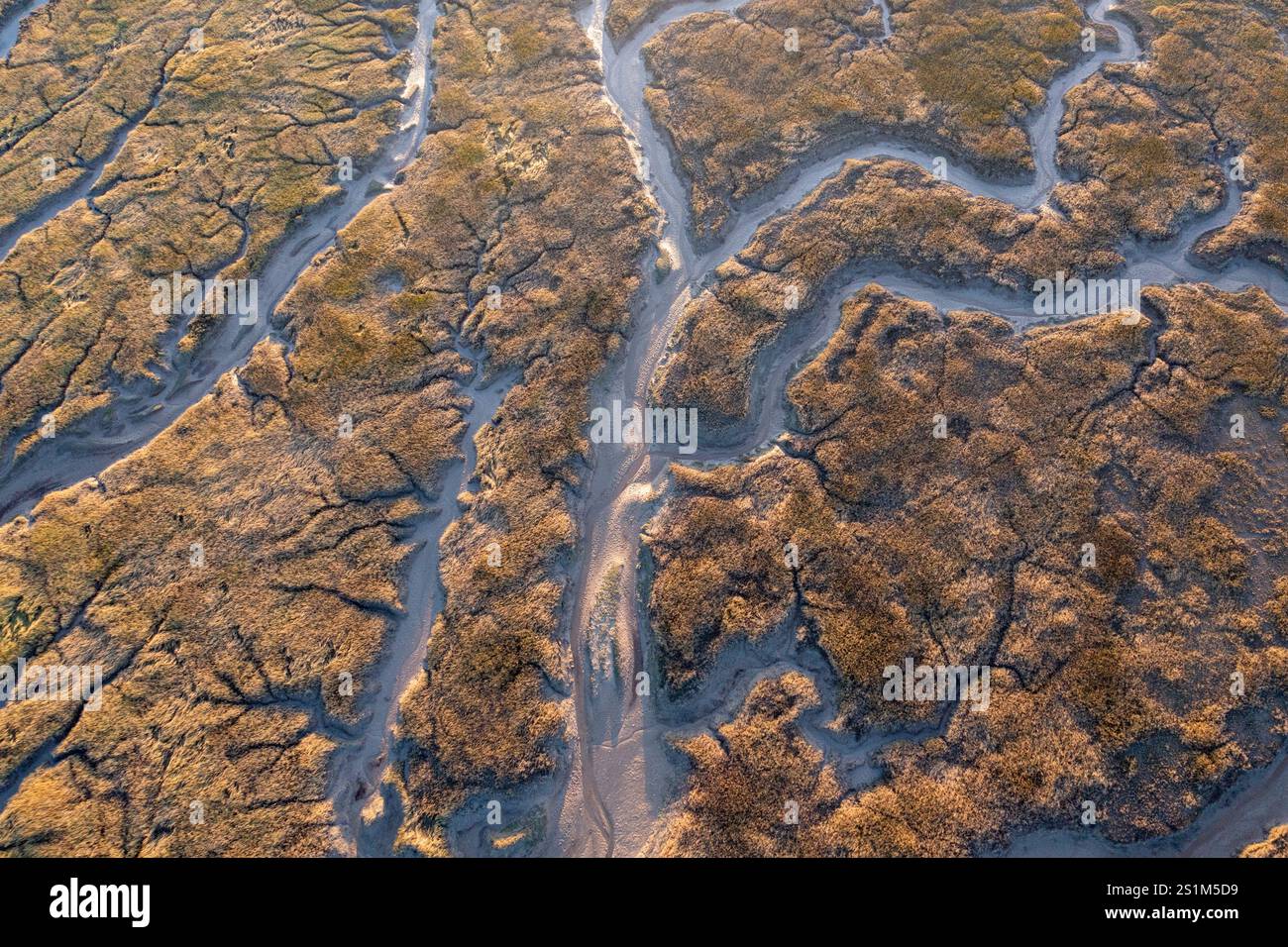 Aerial view of intertidal channels in saltmarsh at Burry Pill, Gower ...