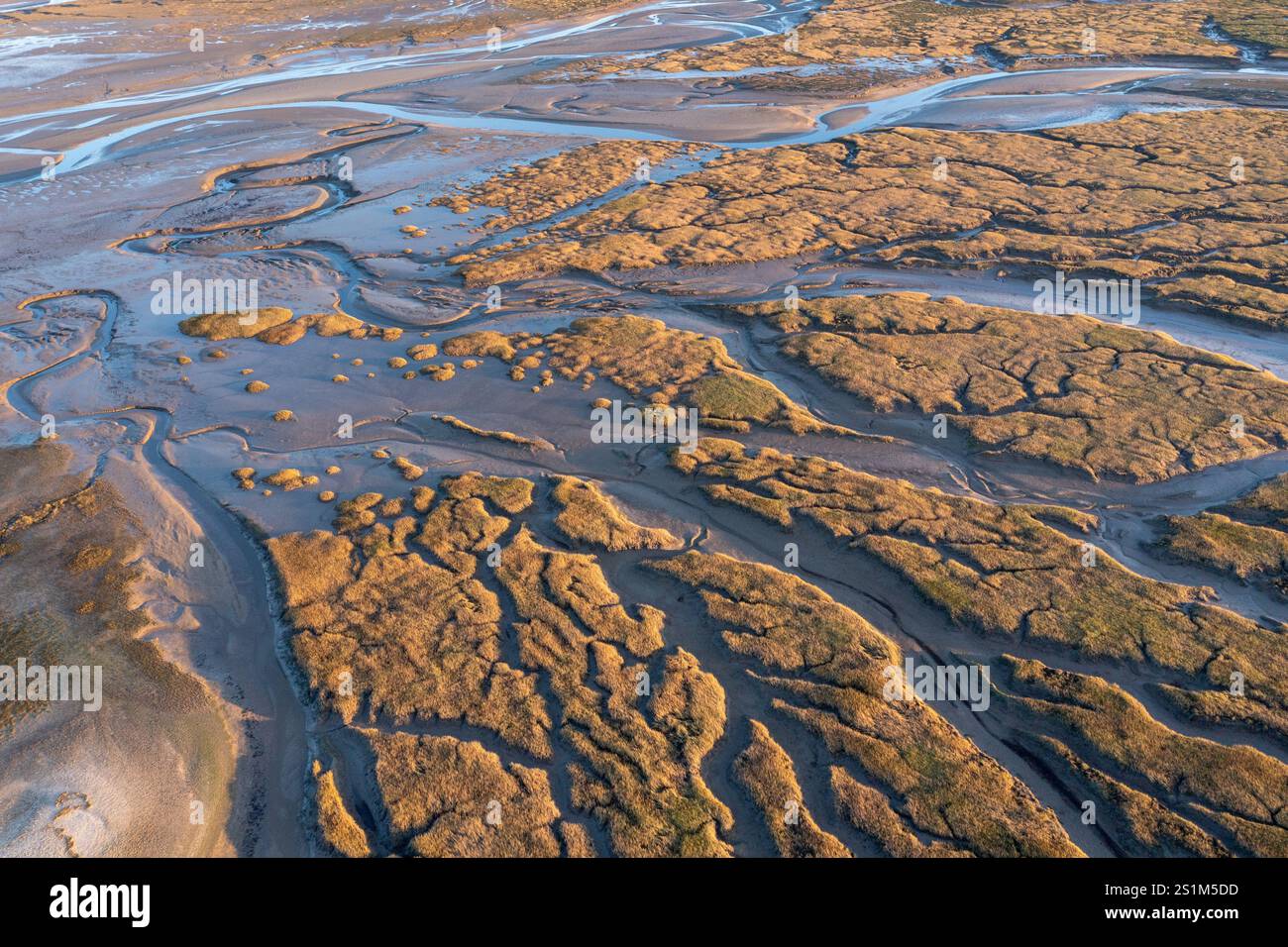 Aerial view of intertidal channels in saltmarsh at Burry Pill, Gower ...