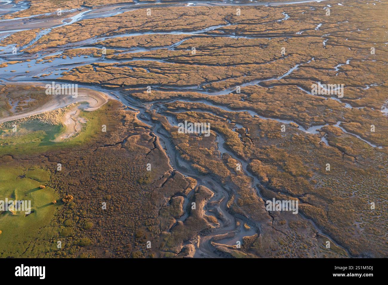 Aerial view of intertidal channels in saltmarsh at Burry Pill, Gower ...
