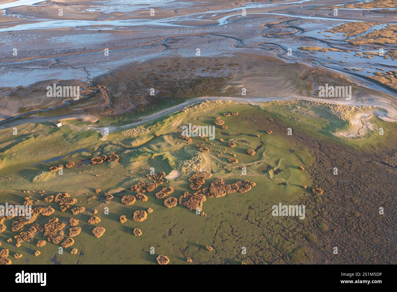 Aerial view of Whiteford Point, saltmarsh and Burry Pill estuary ...