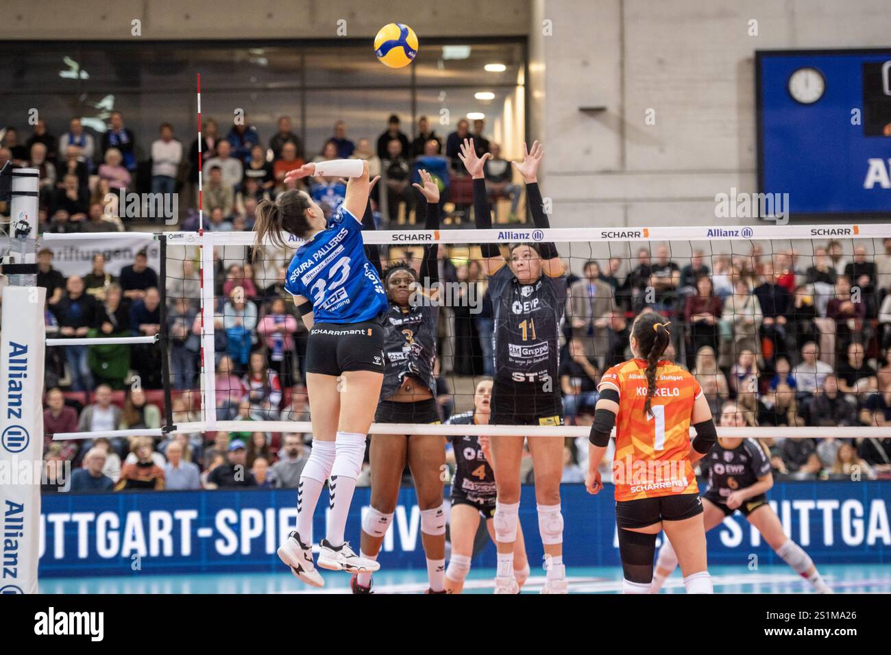 Maria Segura Pallares (Allianz MTV Stuttgart, #33) vs. Danielle Harbin ...