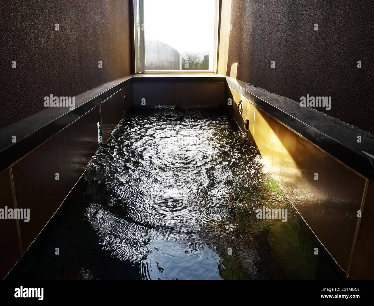 PANIC ROOM: An enclosed room expands and transforms filling up with ...