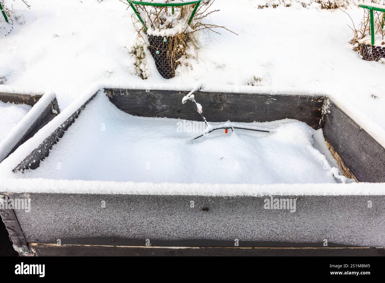 Snow-covered wooden garden bed with frost-coated irrigation system ...