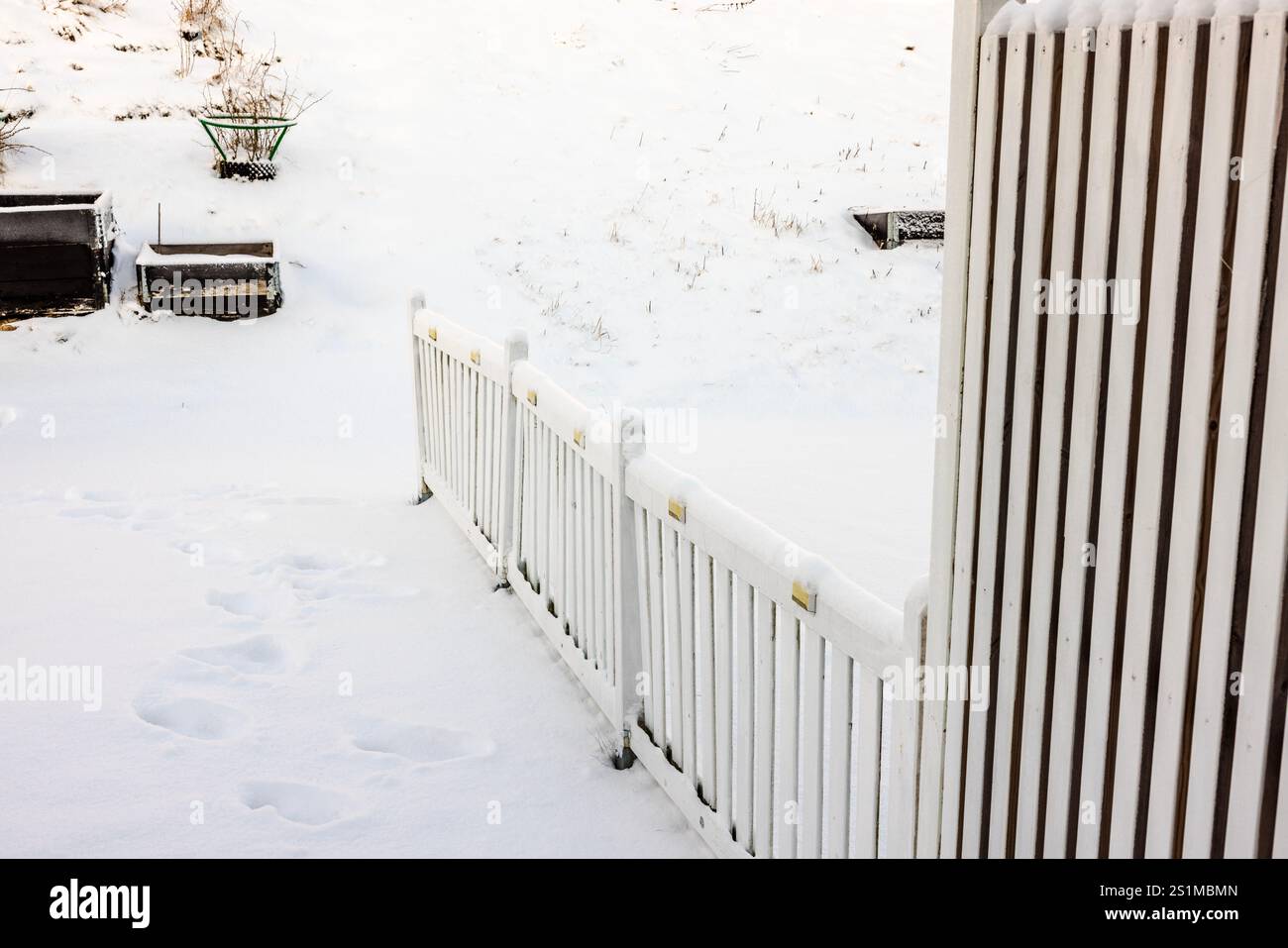 Snow-covered white wooden fence with visible footprints in fresh snow ...