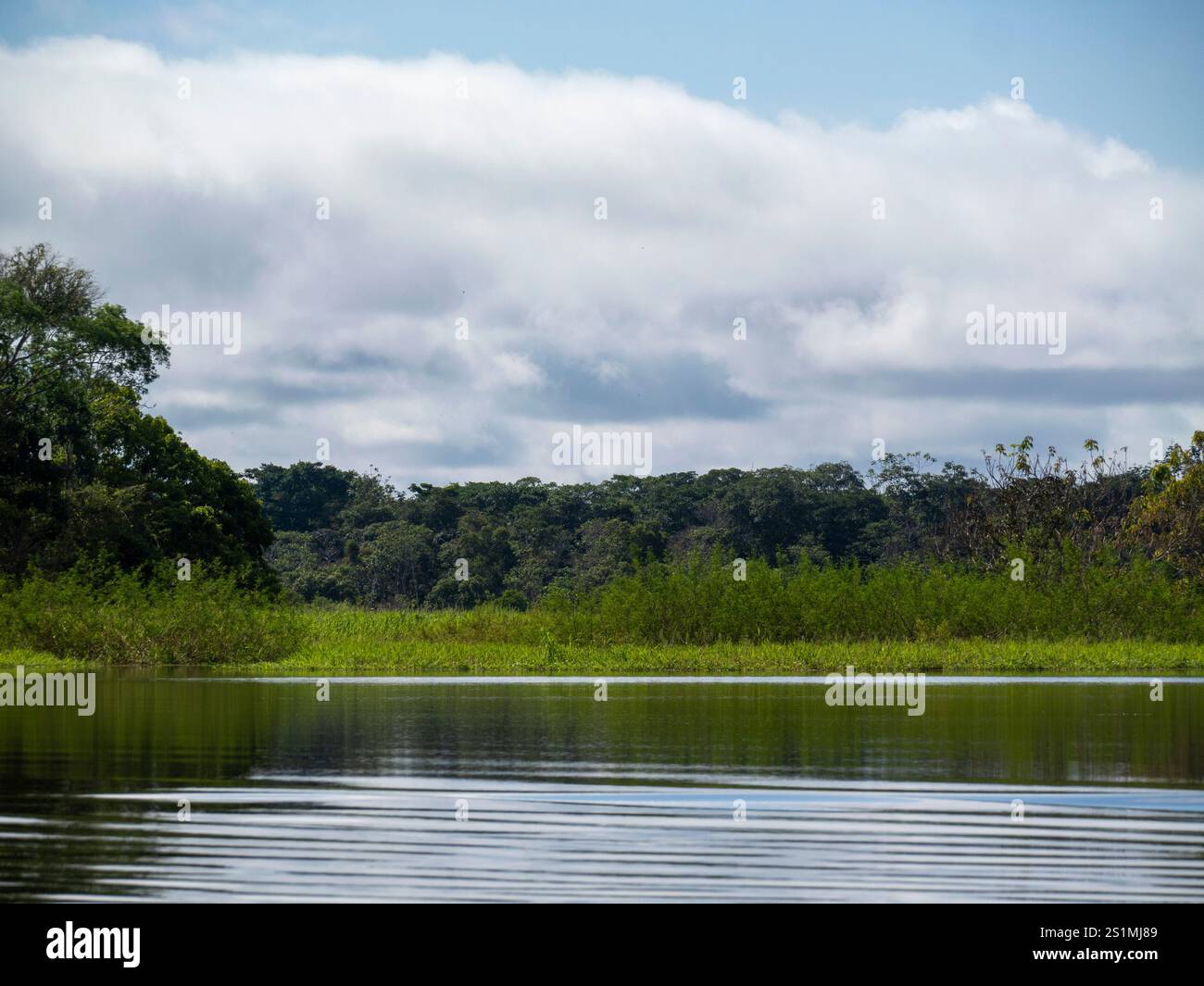 Amazon river landscape with rainforest. Taken near the small town of ...