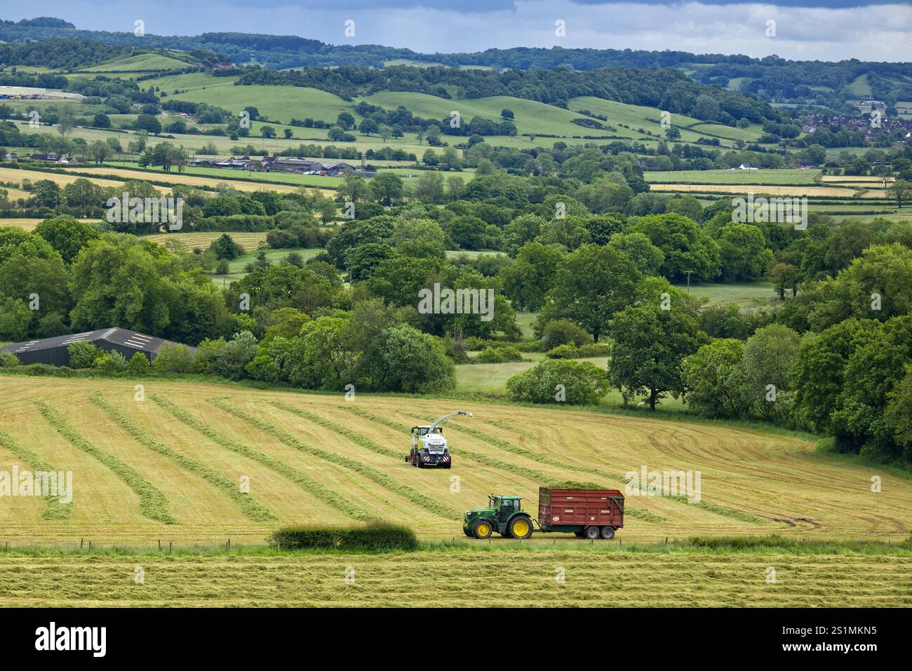 Combine harvester and tractor with trailer harvesting hay from farm ...