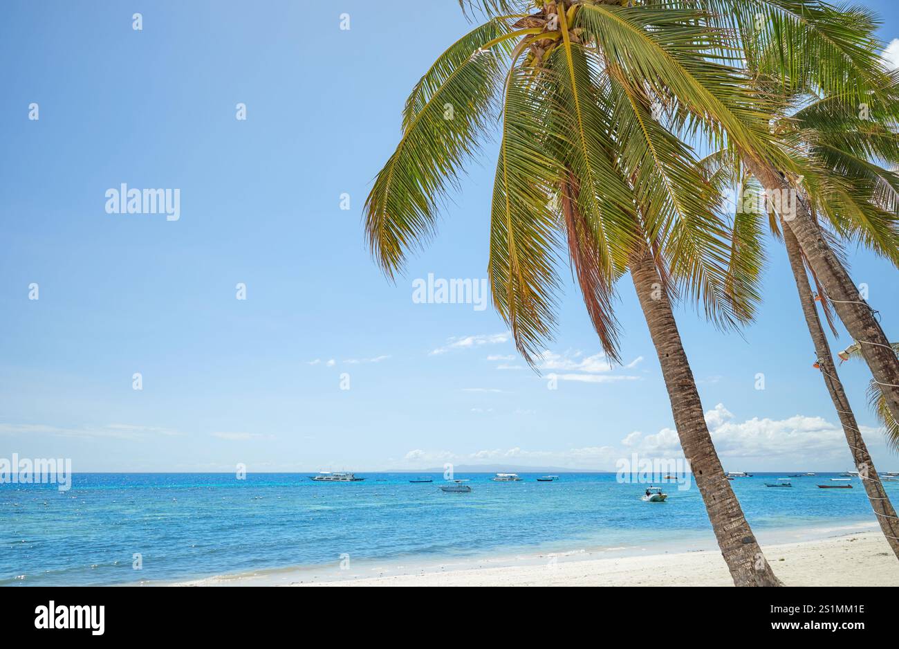 Alona Beach with coconut palm trees on Bohol Panglao Island ...