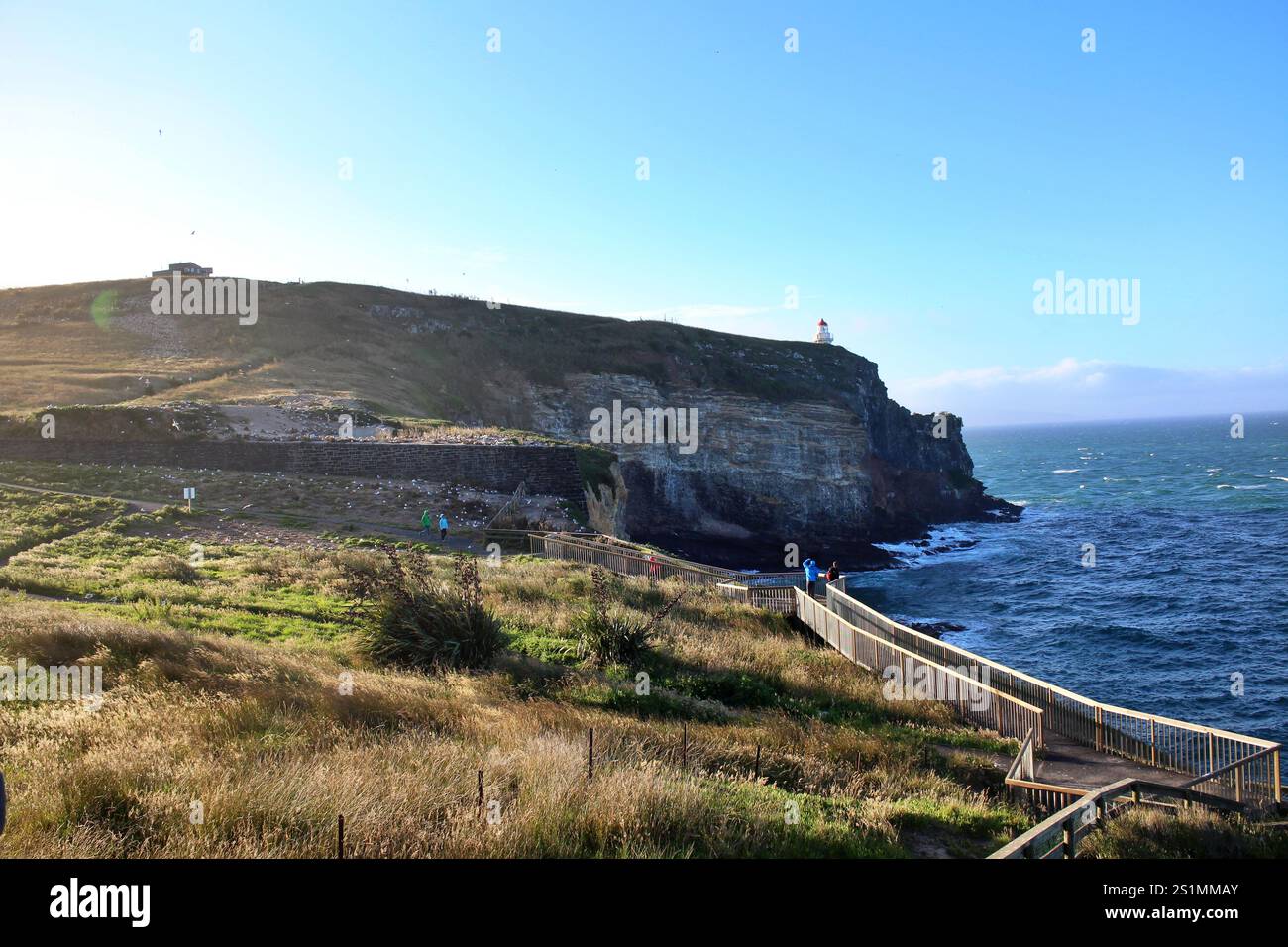 Dunedin new zealand otago peninsula hi-res stock photography and images ...