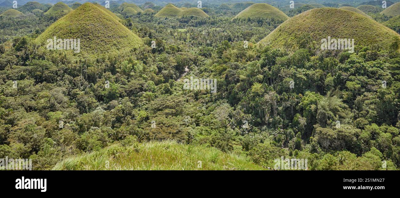 Chocolate Hills, a famous tourist attraction of Bohol Island ...