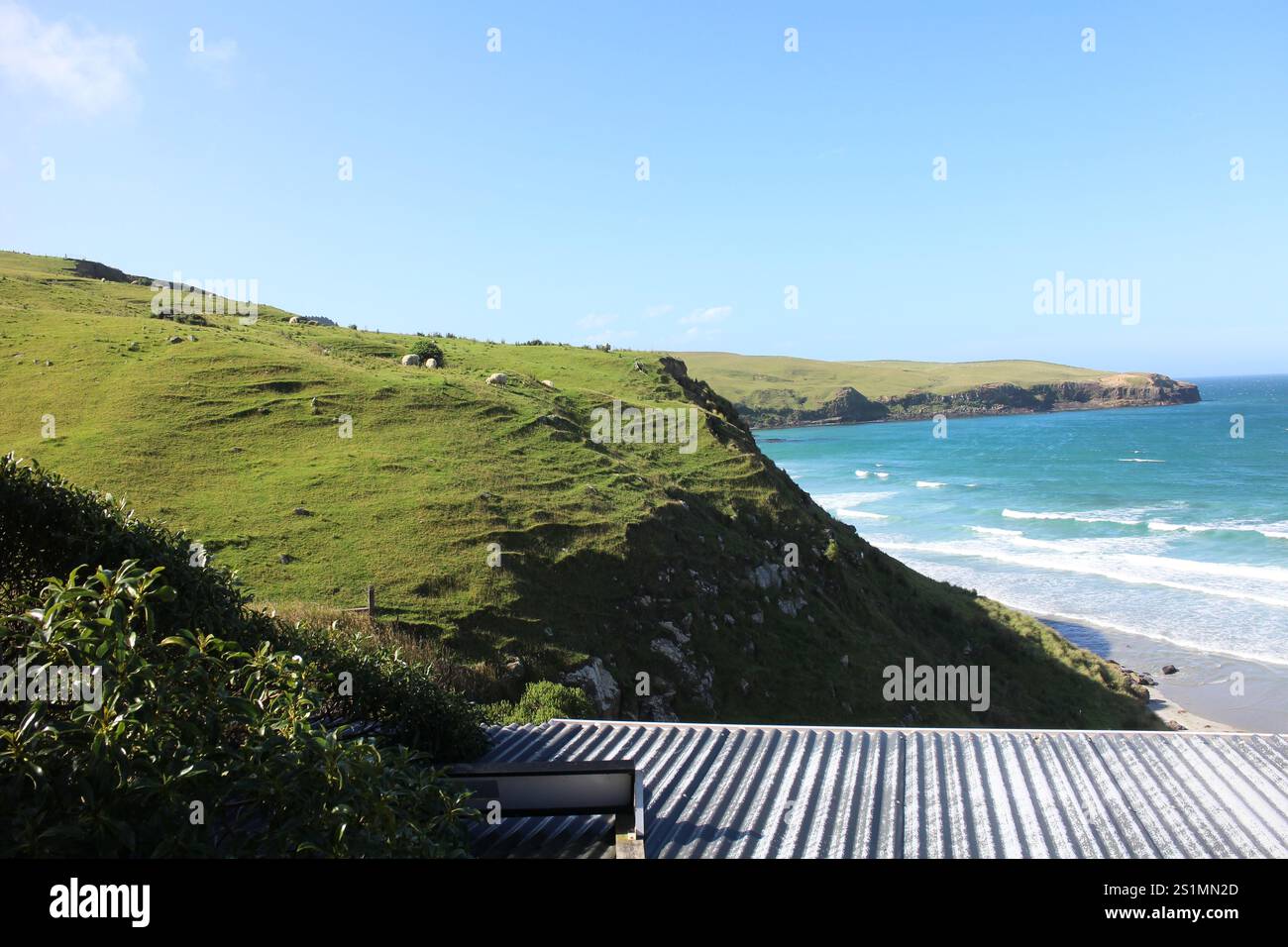 Otago Peninsula in Dunedin, New Zealand Stock Photo - Alamy