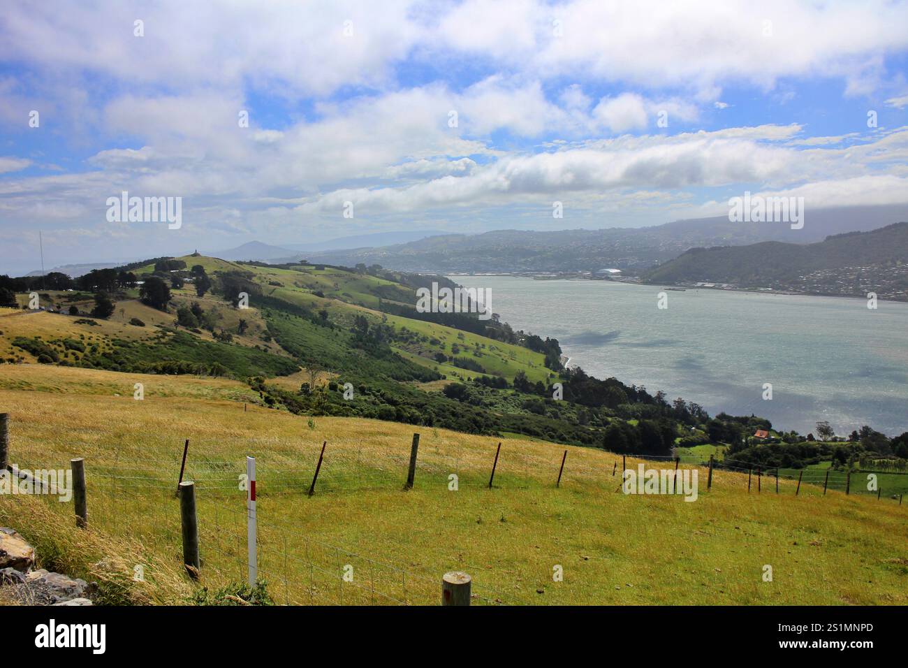 Otago Peninsula in Dunedin, New Zealand Stock Photo - Alamy