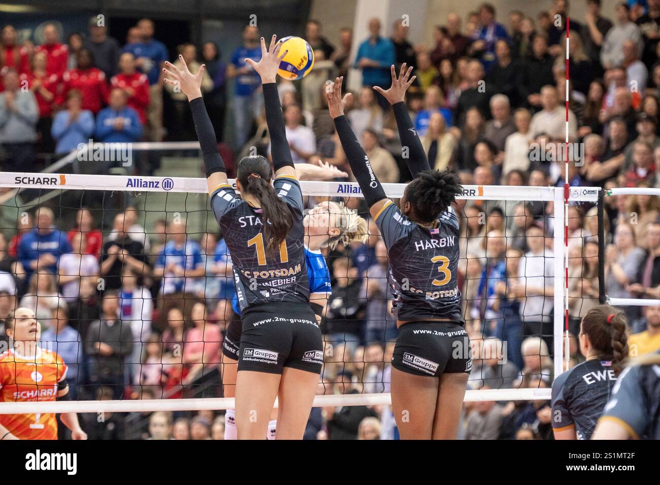 Sabrina Michelle Starks (SC Potsdam, #11) und Danielle Harbin (SC ...
