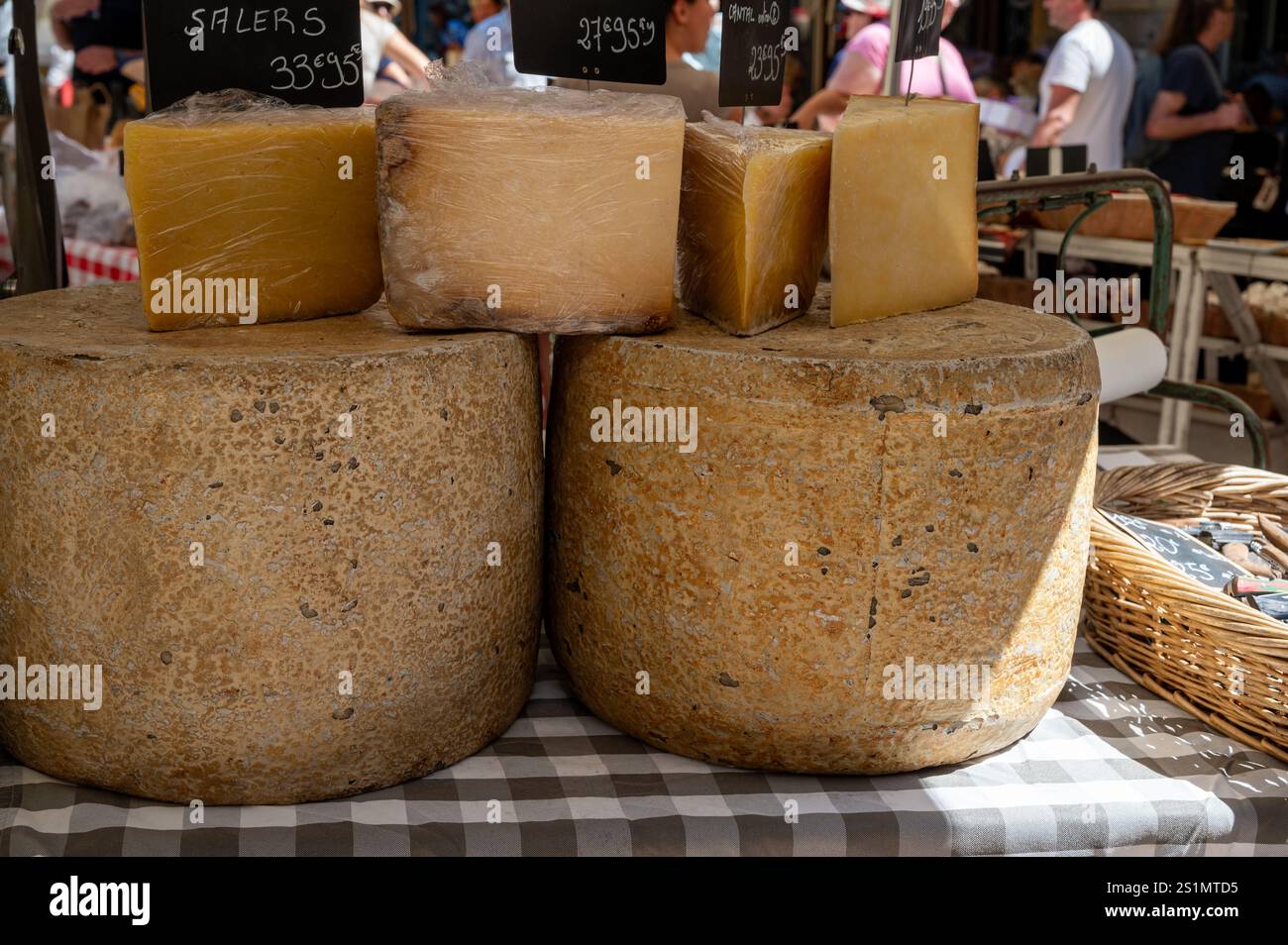 Cheese collection, hard French cheese old cantal AOP fermier made from ...
