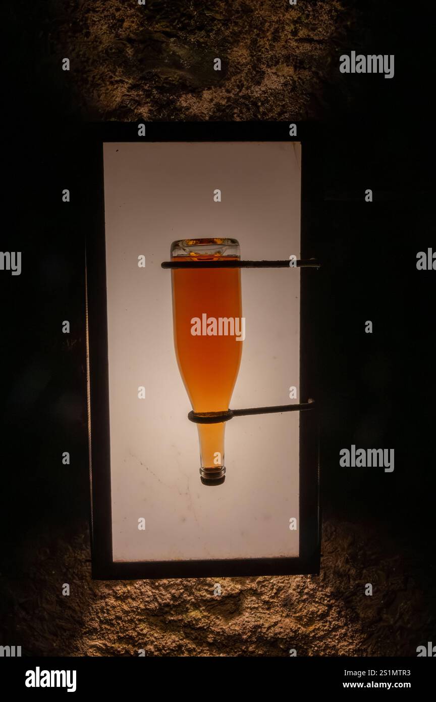 Lees yeast cells left over from fermentation in bottlem in caves ...