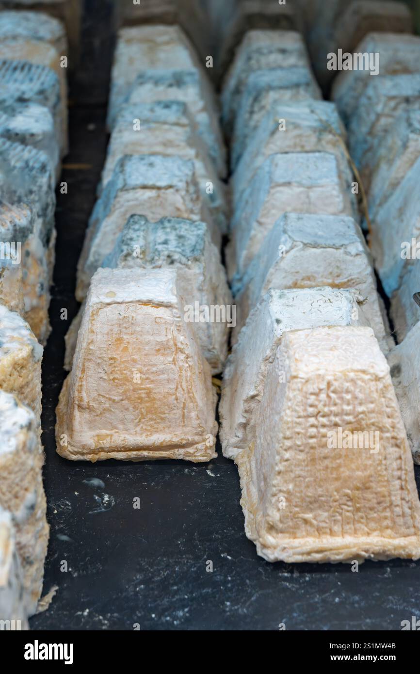 Cheese collection, english translation: French Pyrenees pyramid bio ...