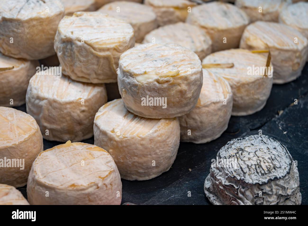 French goat chevre cheeses fresh and crottin chavignol, made from ...