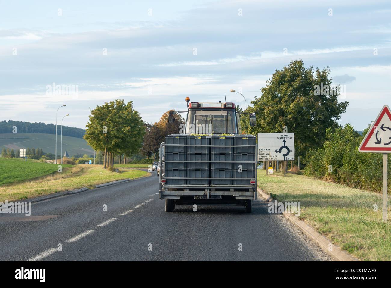 Grape harvesting work, delivery by tractor of full boxes of grapes for ...