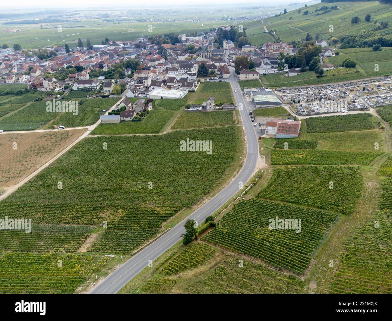Aerial view on grand cru vineyards near Cramant and Avize, region ...