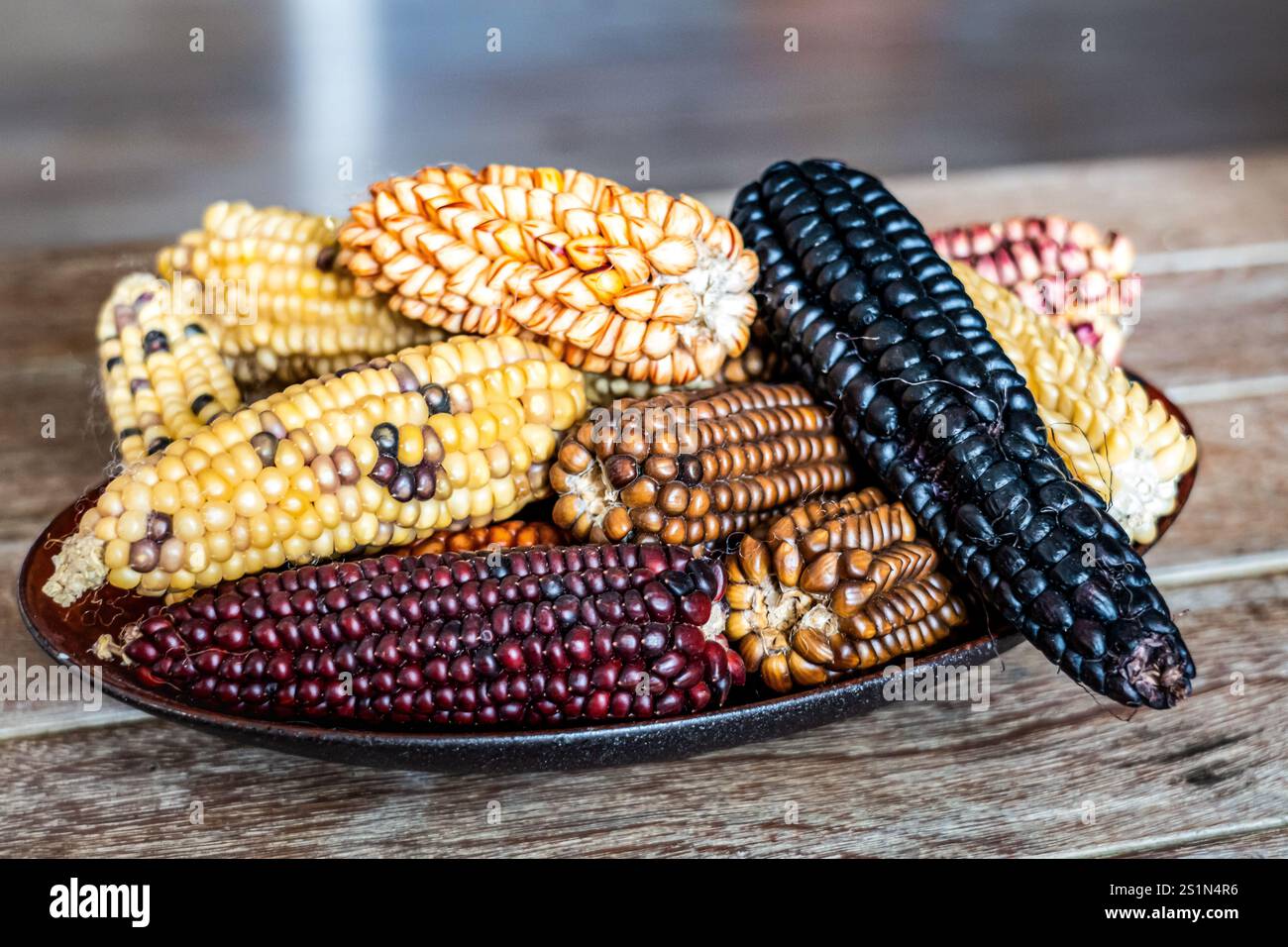 Various Indian corn types on display Stock Photo - Alamy