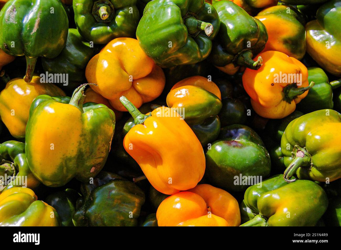 Chili peppers of varied colors and sizes can range from mild to hot in ...