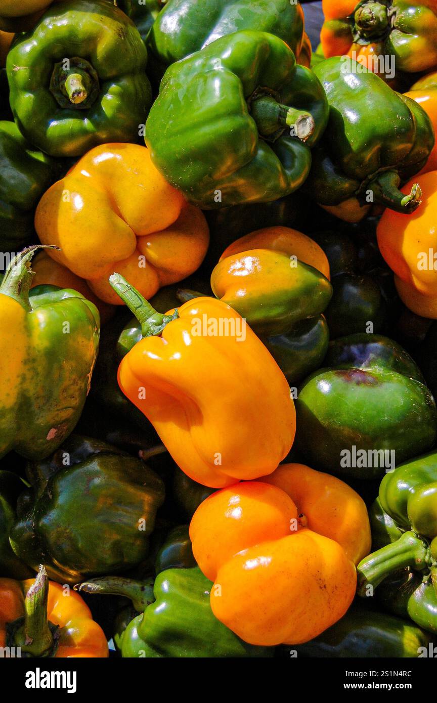 Chili peppers of varied colors and sizes can range from mild to hot in ...